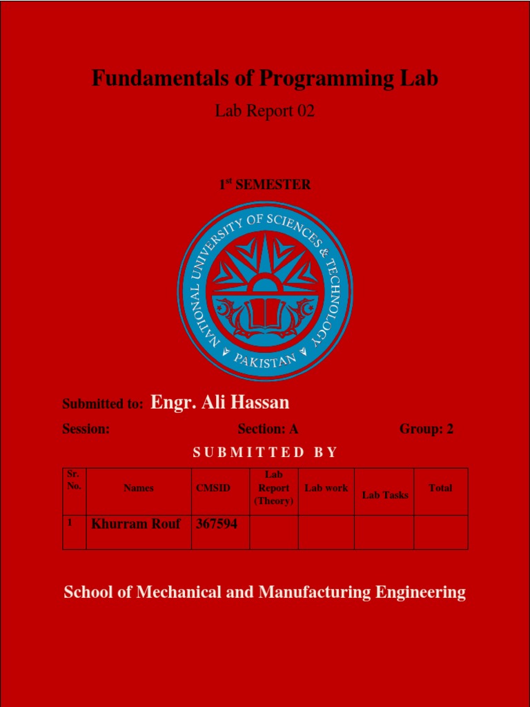 Fop Lab 10 Pdf Pointer Computer Programming Integer Computer Science