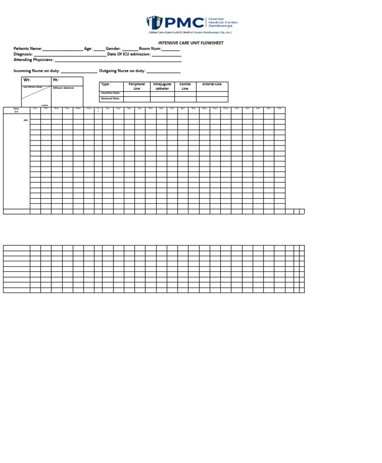 Intensive Care Unit Flowsheet | PDF