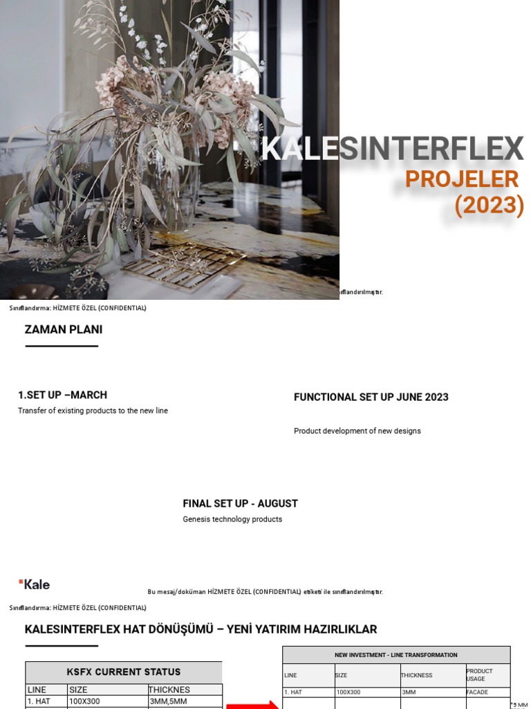 Kale Sinterflex | PDF