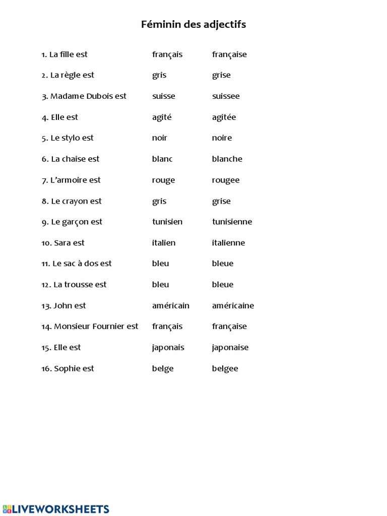 Le Feminin Des Adjectifs | PDF