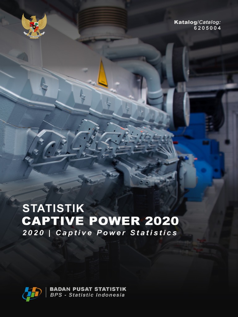 Statistik Captive Power 2020 | PDF