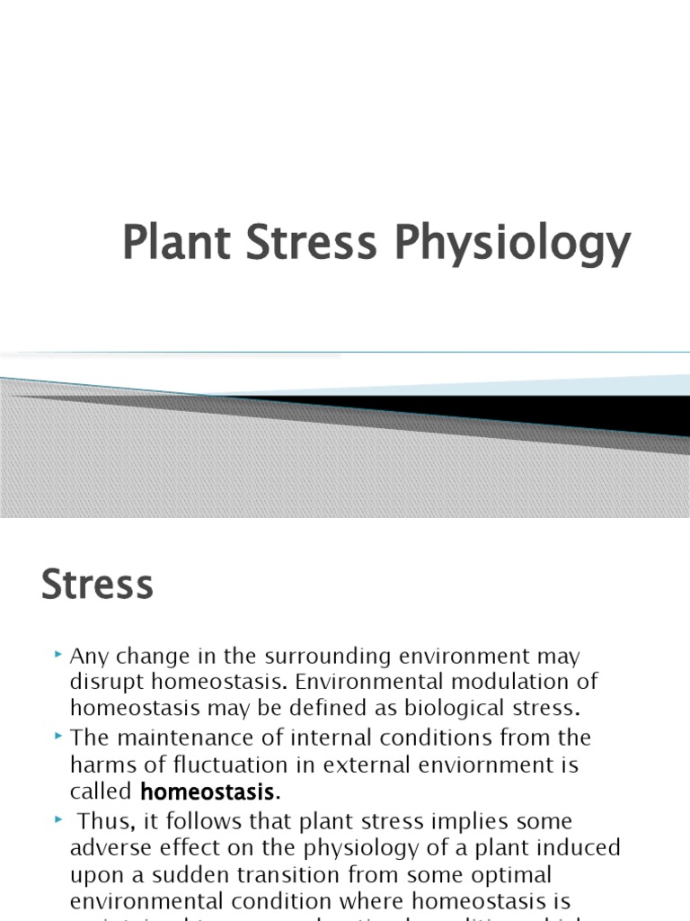 Plant Stress Physiology | Download Free PDF | Photosynthesis | Stress ...