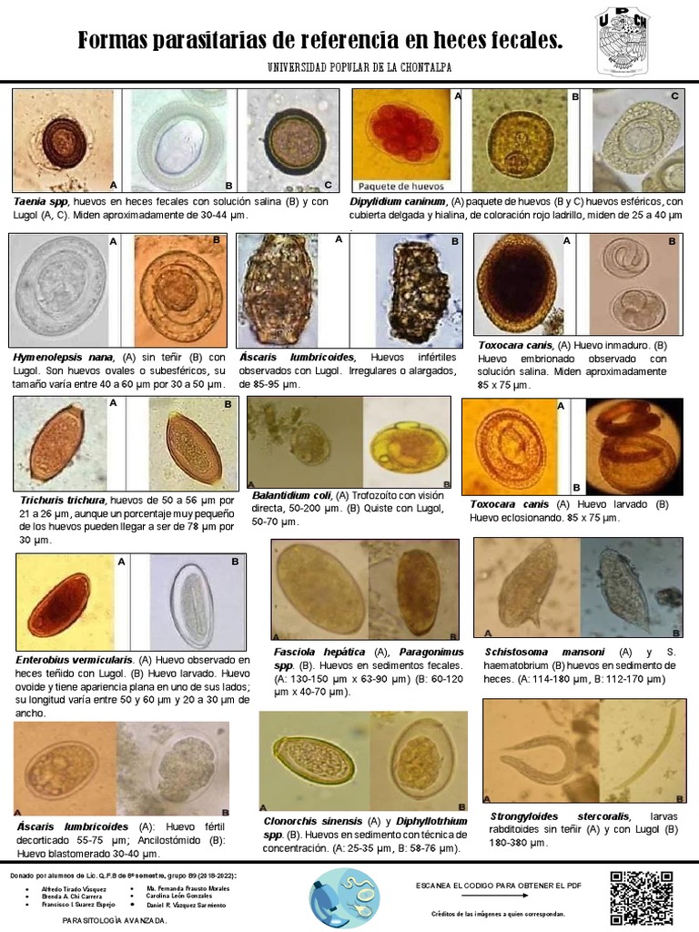 Atlas Parasitologia | PDF