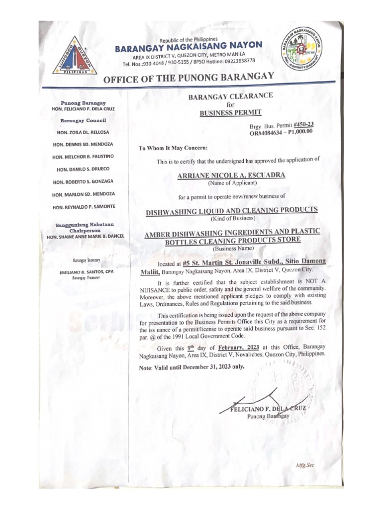 Republic of The Philippines | PDF