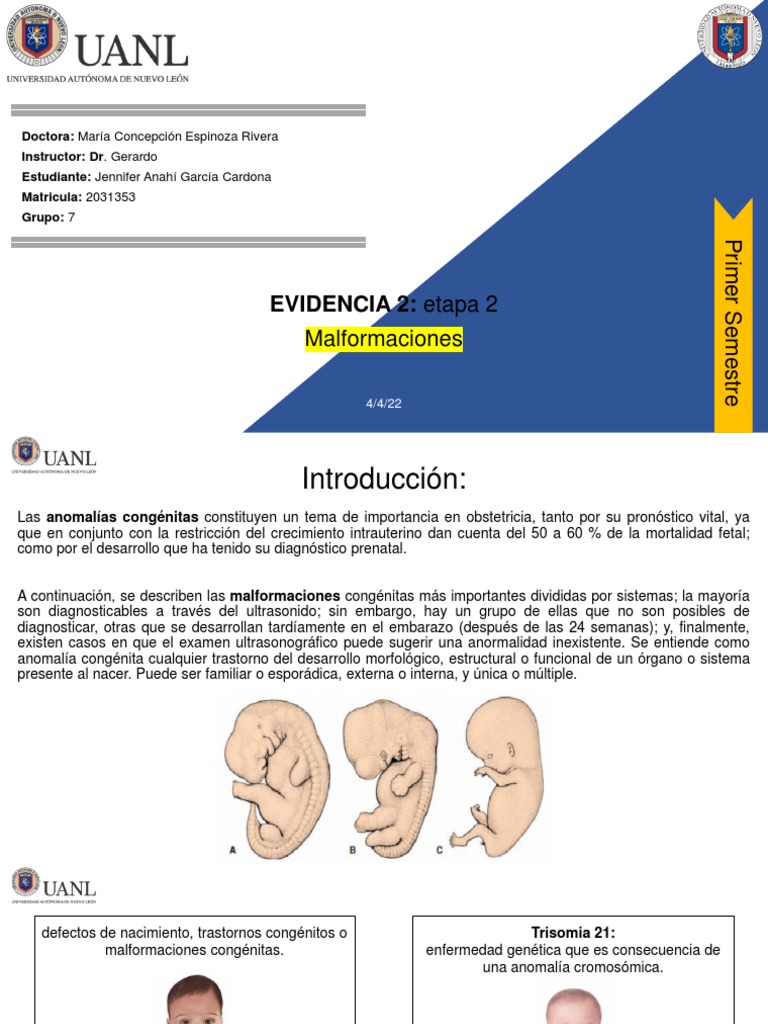 Evidencia Embrio 2 | PDF