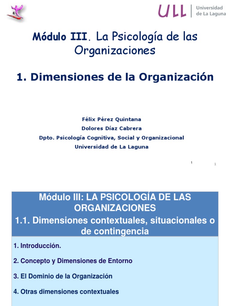 Dimensiones Contextuales (3.1.1) | PDF | Toma de decisiones