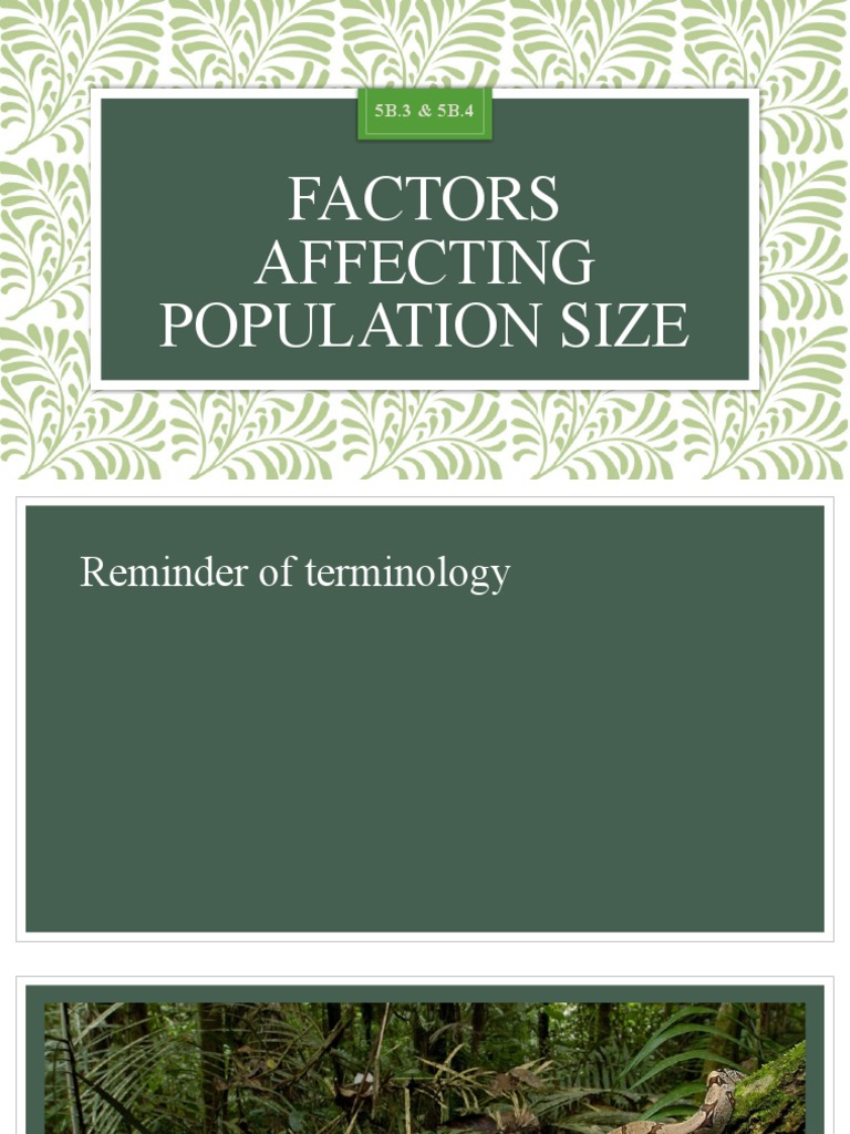 Y13 Factors Affecting Population Size | PDF