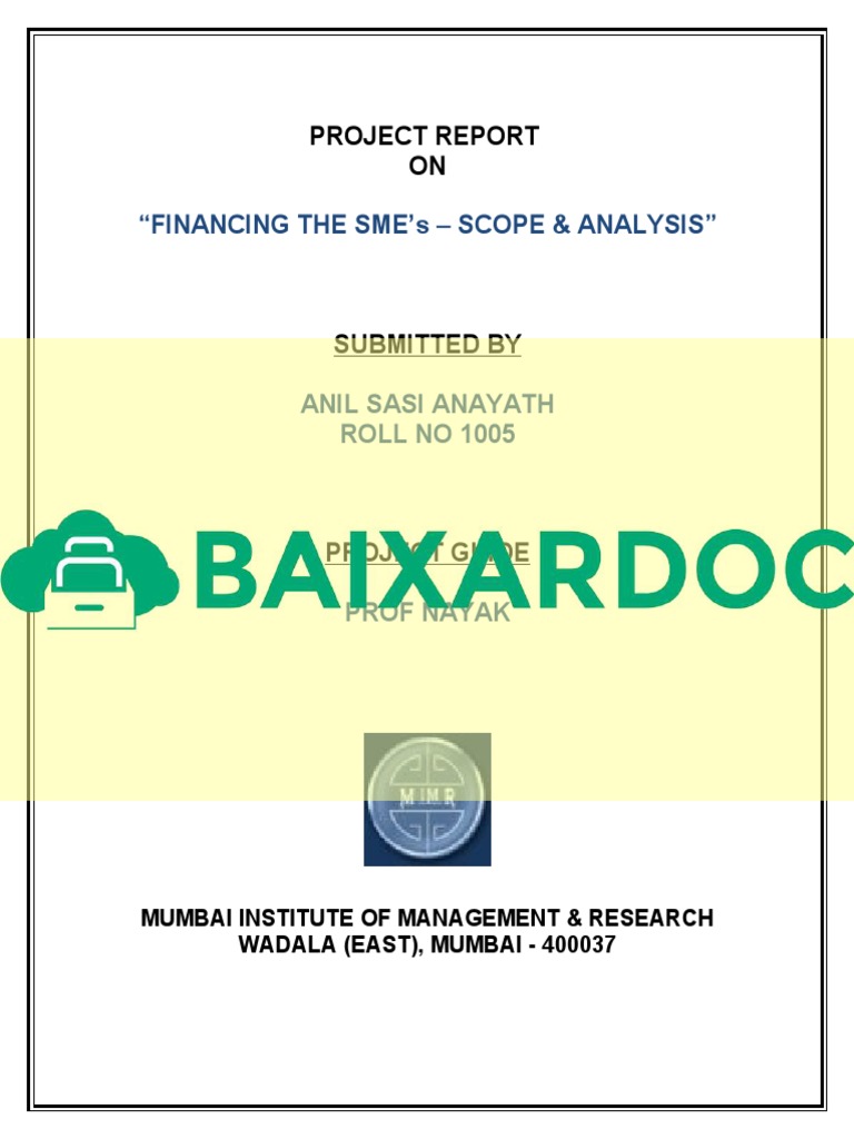 PNB Summer Internship Report PDF | PDF