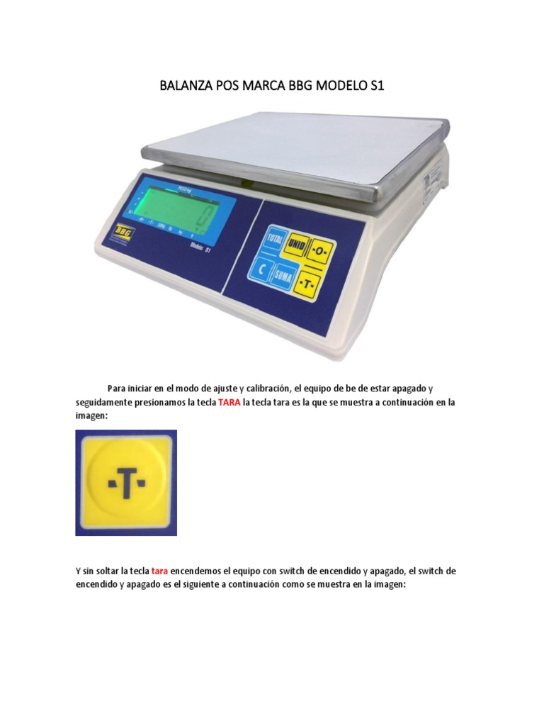 Manual de Ajuste de Balanza Pos BBG S1 - Murphy | PDF | Ciencias de la Computación | Ingeniería ...