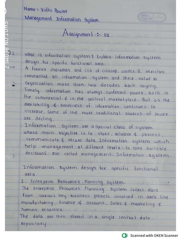 MIS assignment 1.pdf | PDF