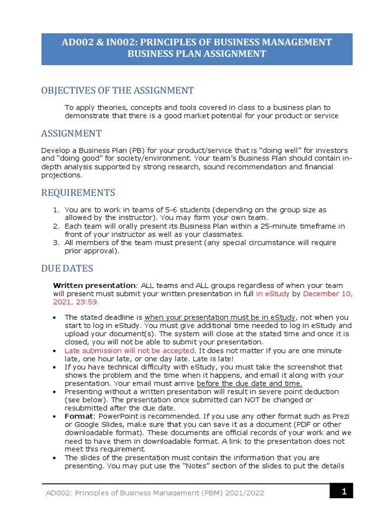 Business Plan Assignment Guidelines | PDF
