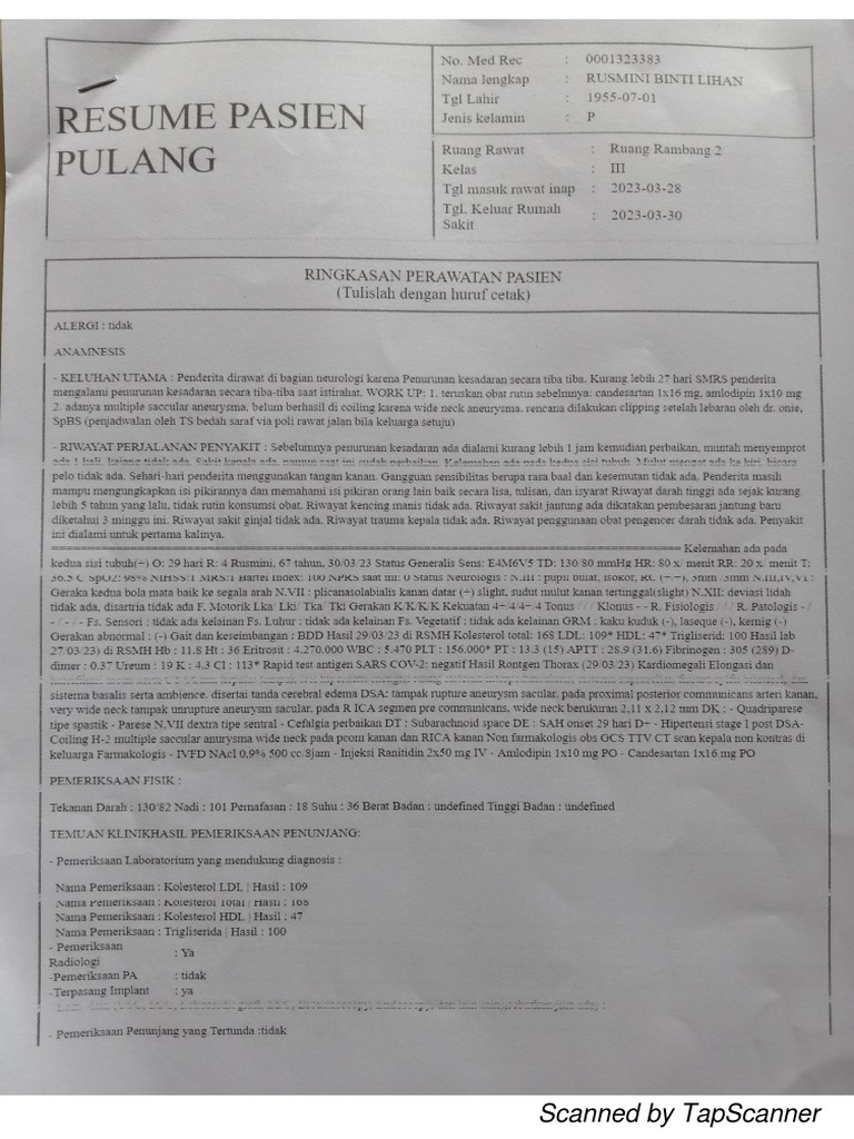 Resume Pulang | PDF