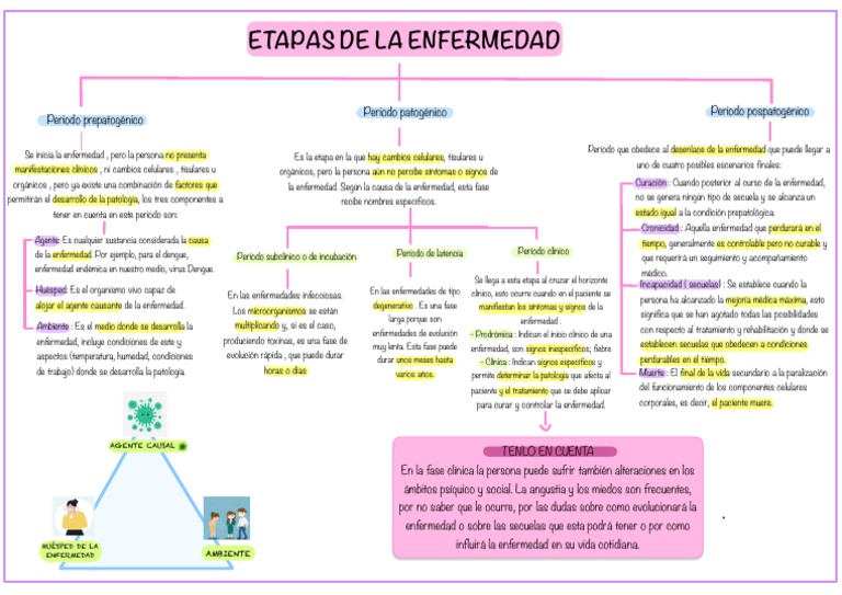 Etapas de la Enfermedad: Un Análisis Completo | PDF | Patología | Síntoma