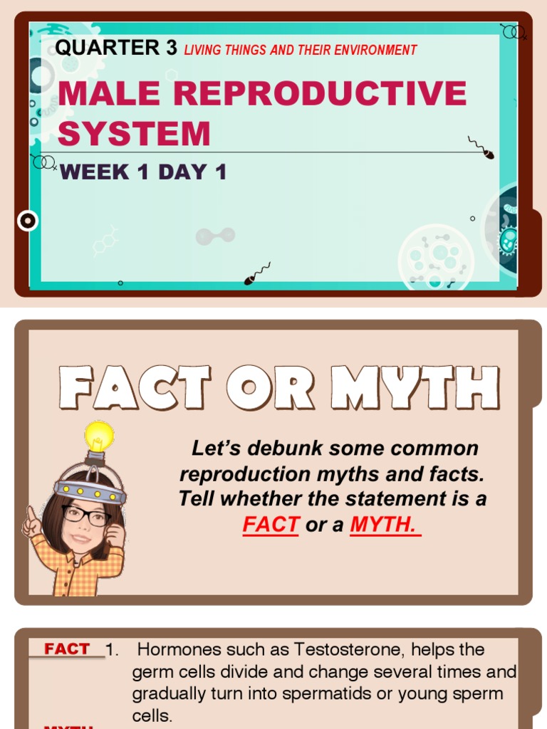 Male and Female Reproductive Parts and Functions and Hormones On ...