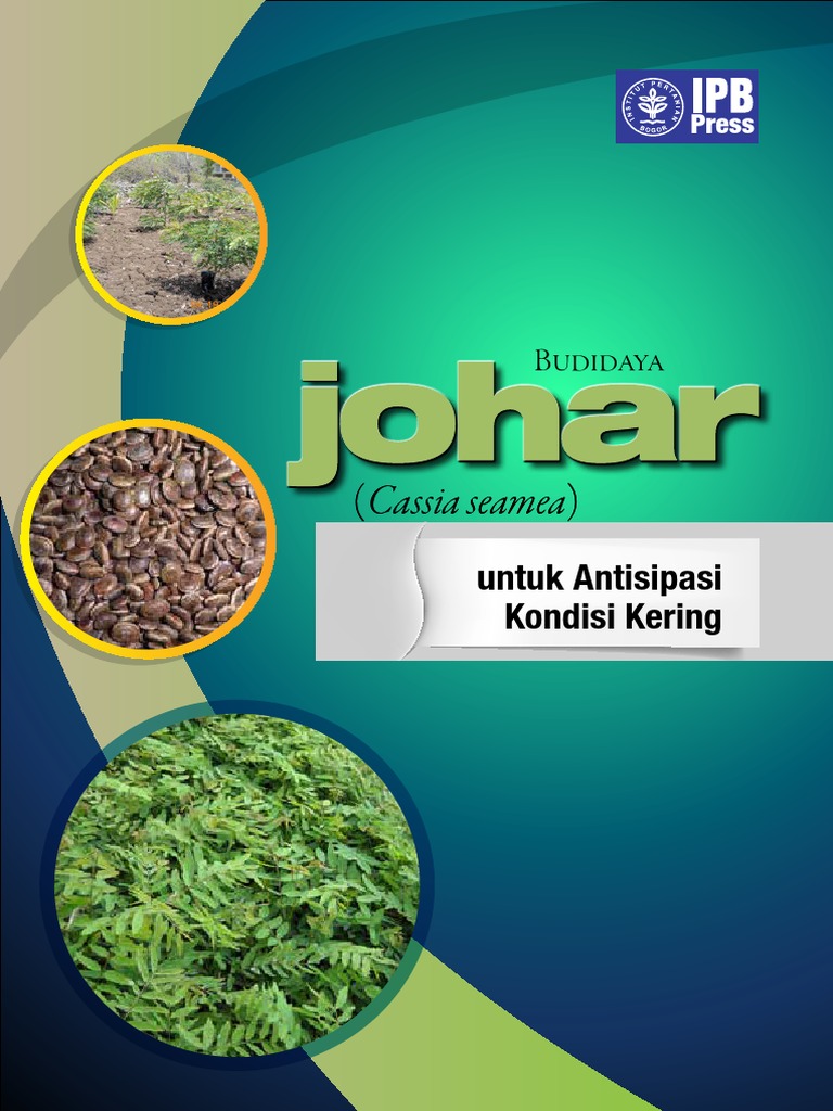 Buku 3 Johar PDF | PDF | Kesehatan Holistik