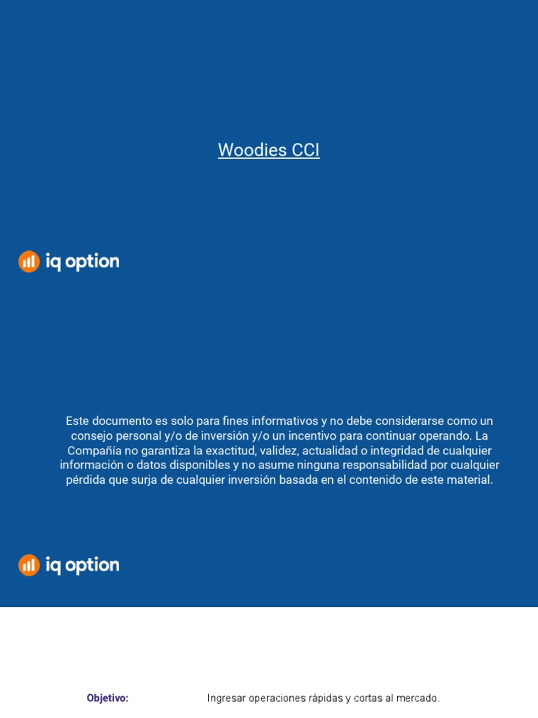 Woodies CCI | PDF | Mercado (economía) | Economias