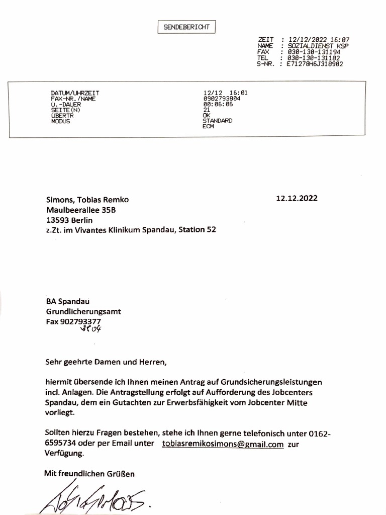 Grundsicherung Antrag PDF | PDF