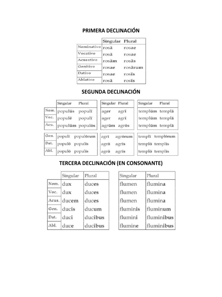 Las Cinco Declinaciones | PDF