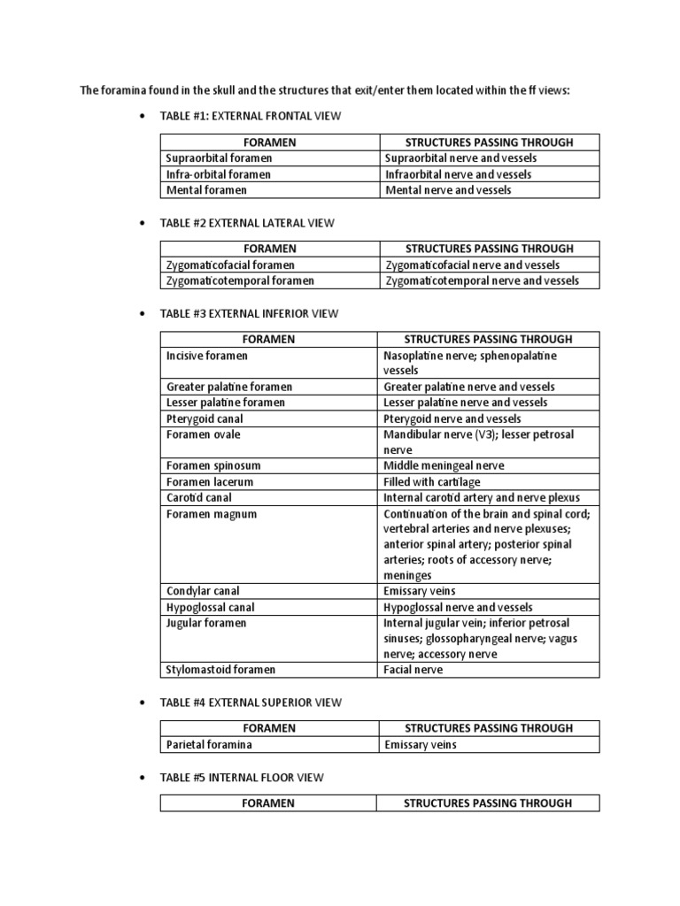 Foramina in The Skull | PDF | Skull | Nervous System