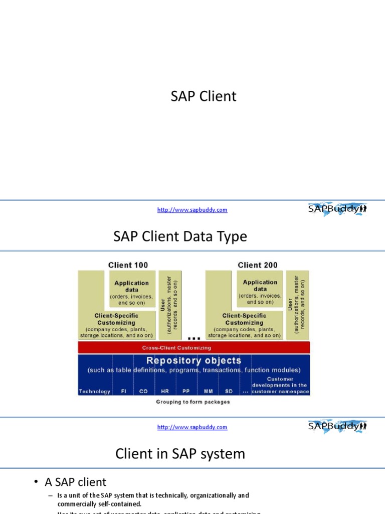 2 SAP+Client | PDF