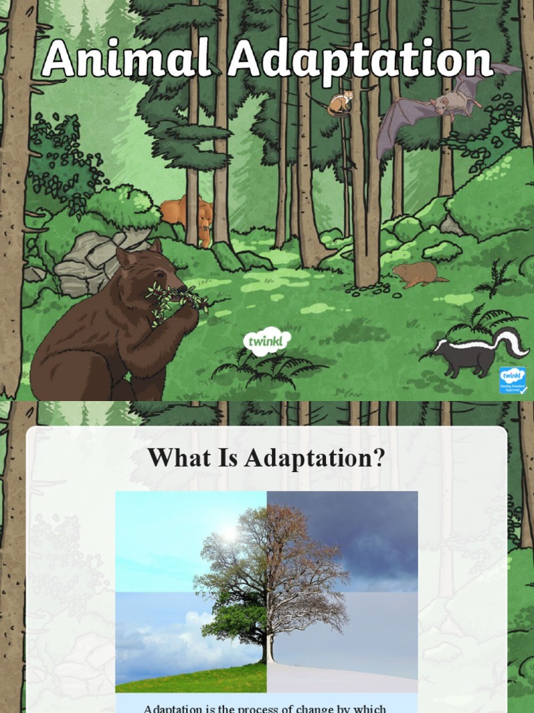 Ca2 T 49 Animal Adaptation Powerpoint - Ver - 3 | PDF | Fur | Bears