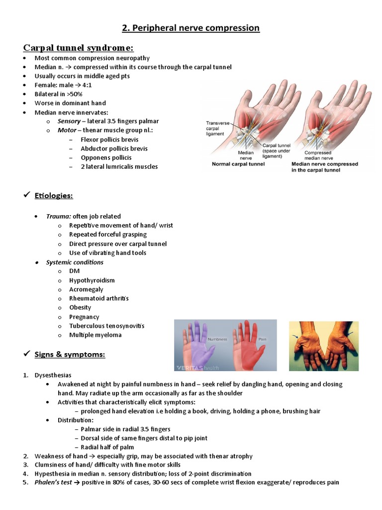 Lec 2 Peripheral Nerve Compression | PDF | Hand | Carpal Tunnel Syndrome