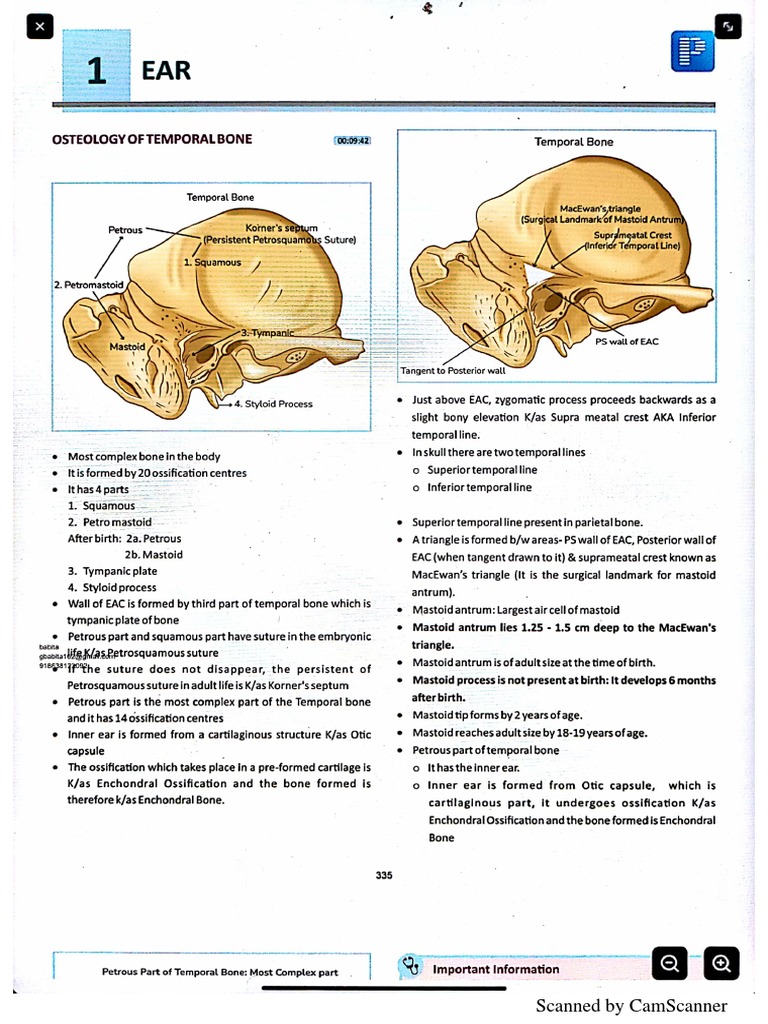 ENT Prep RR 4.0 PDF | PDF