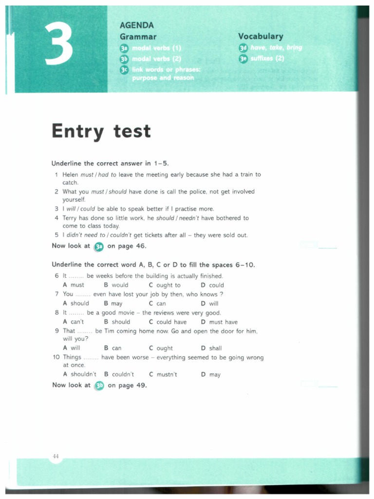 E1 - Modal Verbs - Seminar | PDF