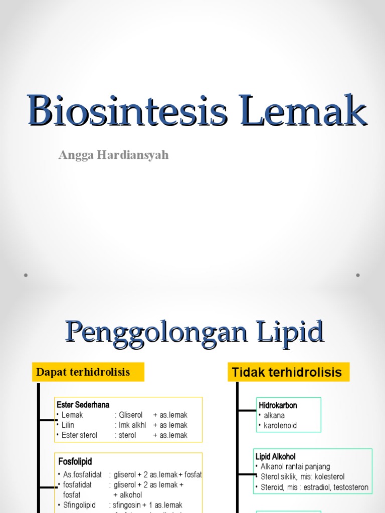 Kul 7_Metabolisme Lemak 2.ppt | PDF