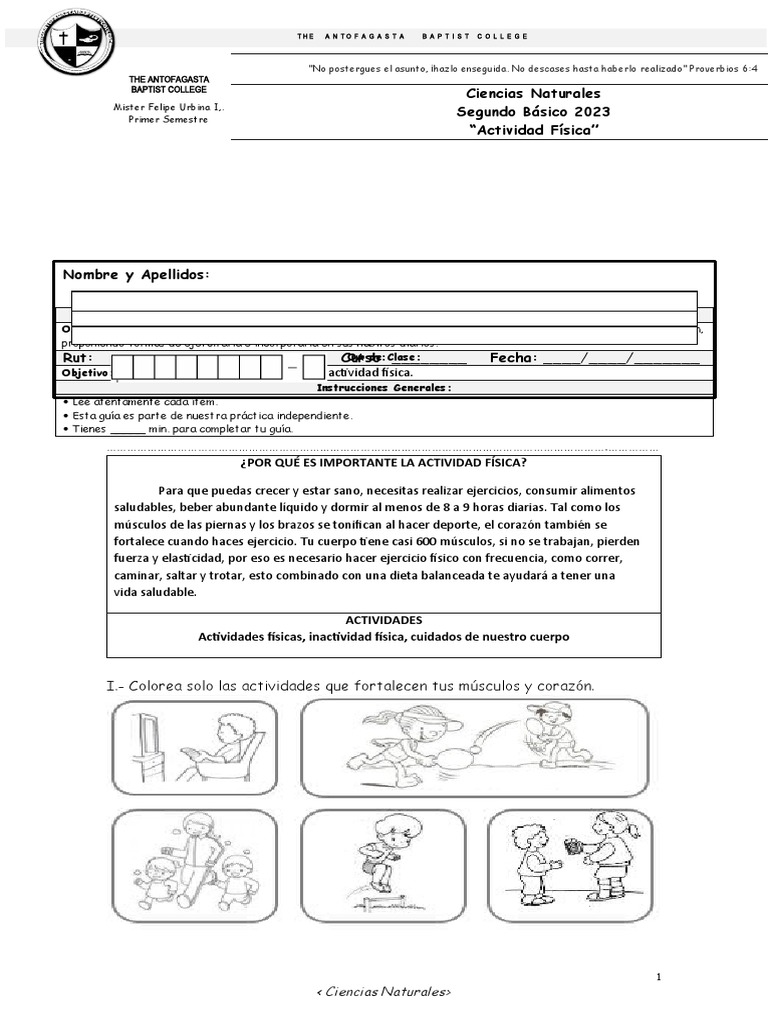 Guia 8 Ciencias | PDF