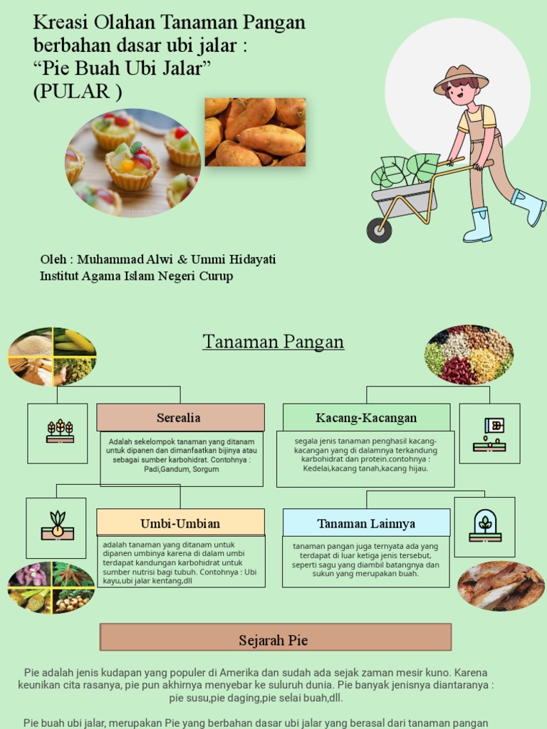 LKOP Ummi Alwi | PDF