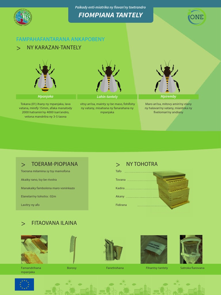 Modely Tantely PDF | PDF