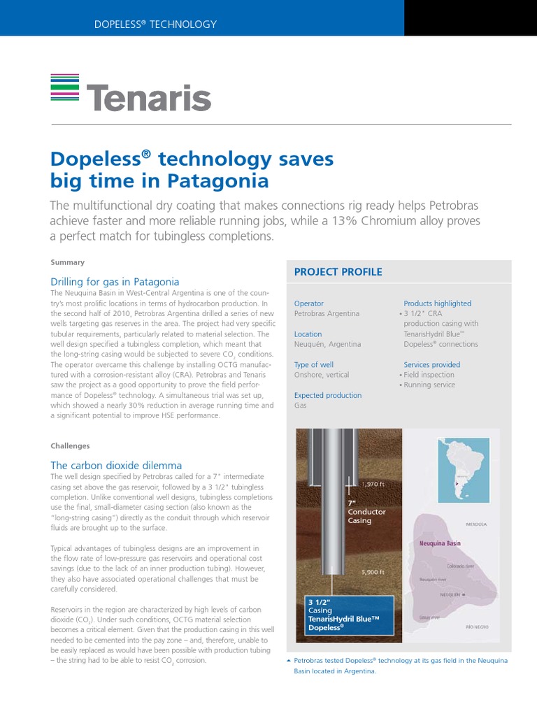 Petrobras Patagonia Cra | PDF | Pipe (Fluid Conveyance) | Casing (Borehole)