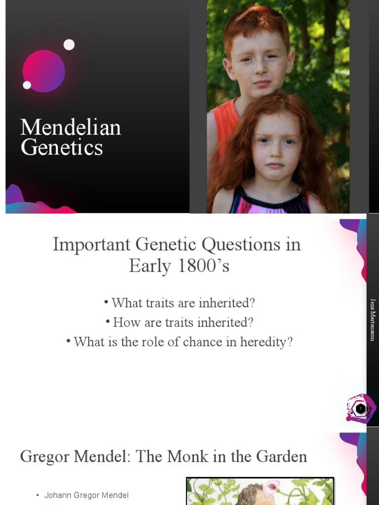 S3 Mendelian-Genetics | Download Free PDF | Dominance (Genetics) | Allele