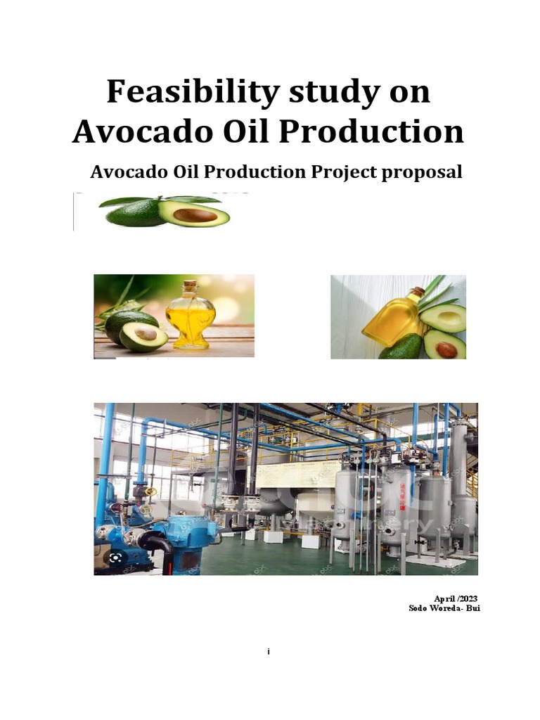 Project Proposal For Avocado Oil Processing. | PDF | Net Present Value | Pricing
