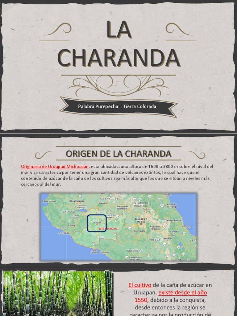 Charanda | PDF | Bebidas alcohólicas | Bebidas Fermentadas