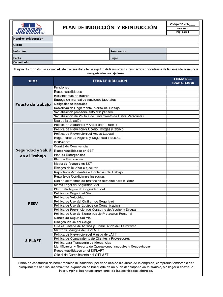 Formato Induccion Actualizado | PDF
