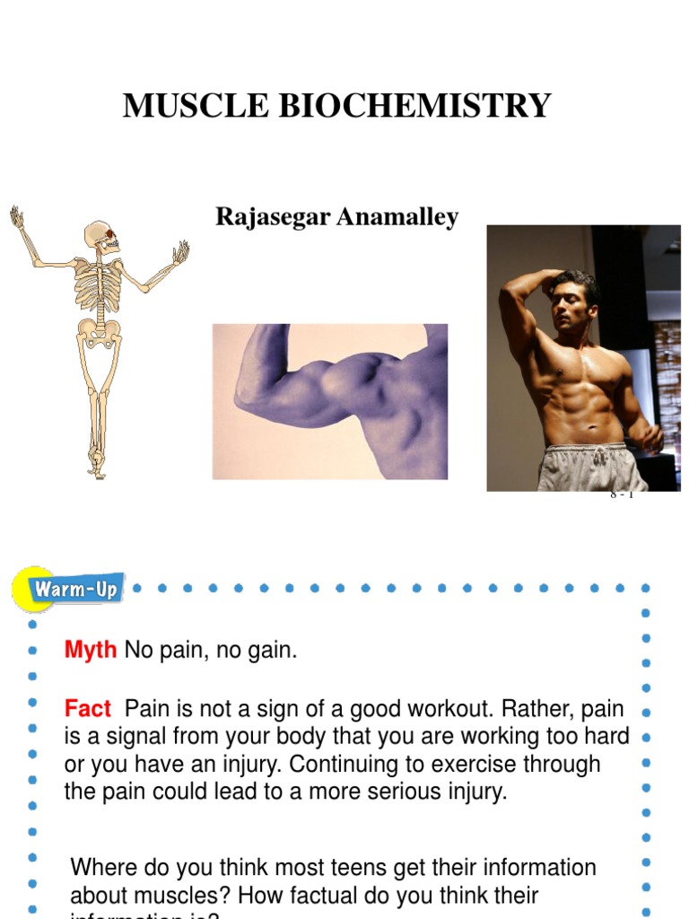 Muscle Biochemistry PDF | PDF | Skeletal Muscle | Muscle Contraction