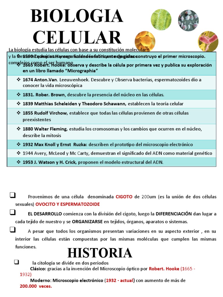 Biologia Celular | PDF | Biología Celular) | Citoplasma