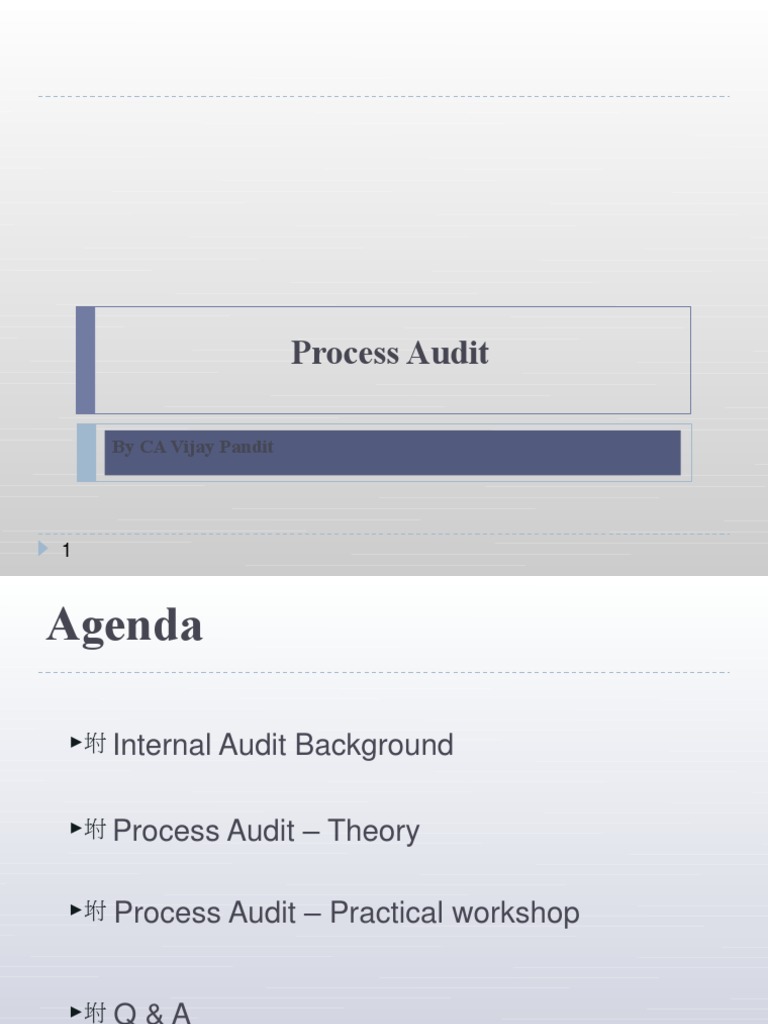 Process Audit Overview and Guidelines | PDF | Internal Audit | Audit