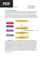 University of Aberdeen Common Grading Scale (CGS) : (Predominantly ...