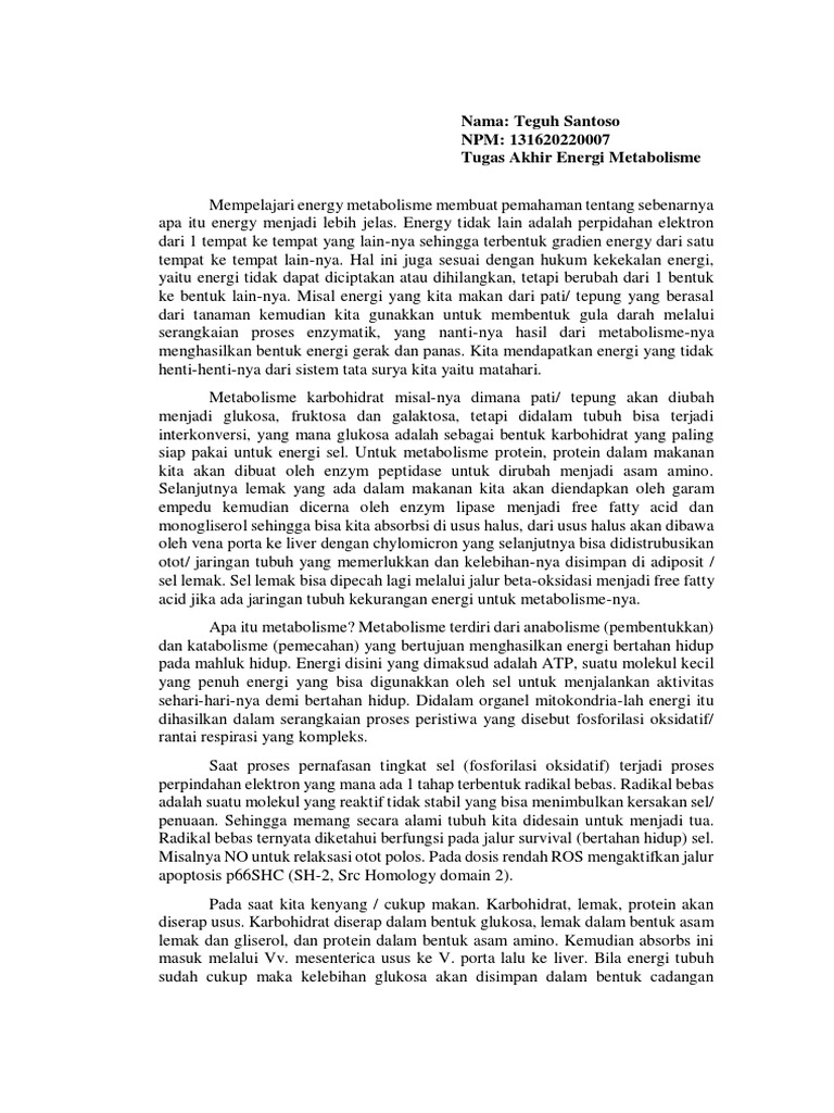 2022 - Teguh - Summary Energy Balance | PDF