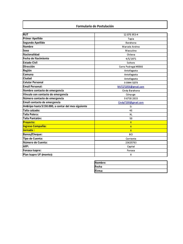 Formulario de Excel | PDF