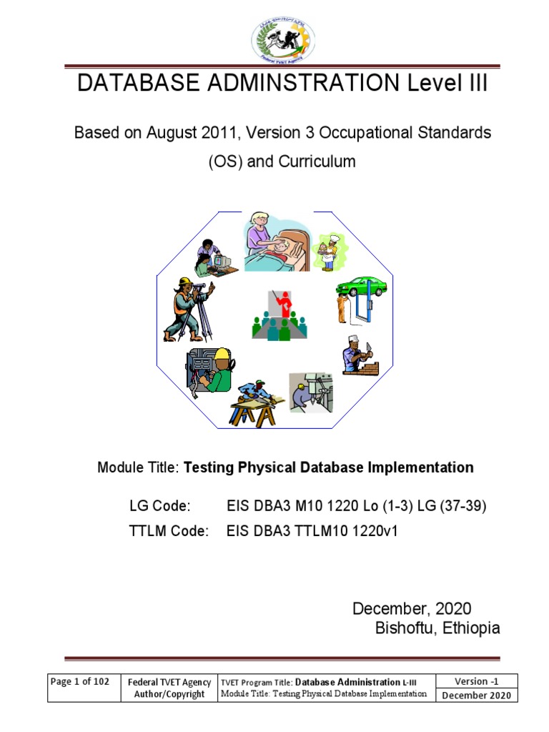 Testing Physical Database Implementation | PDF | Software Testing ...