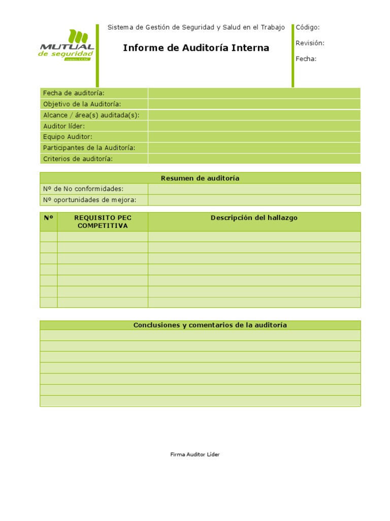 Informe de Auditoría Interna | PDF