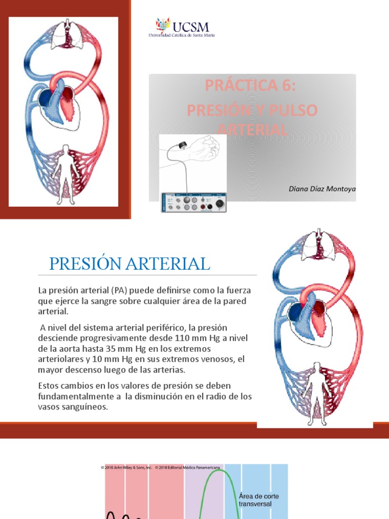 Prac 6. Presión y Pulso Arterial | PDF | Presión sanguínea | Legumbres
