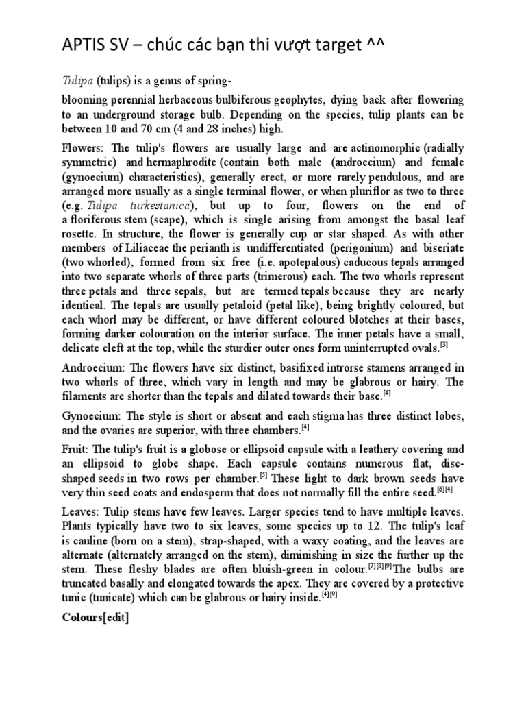 Tulip Reading APTIS SV | PDF | Tulip | Petal