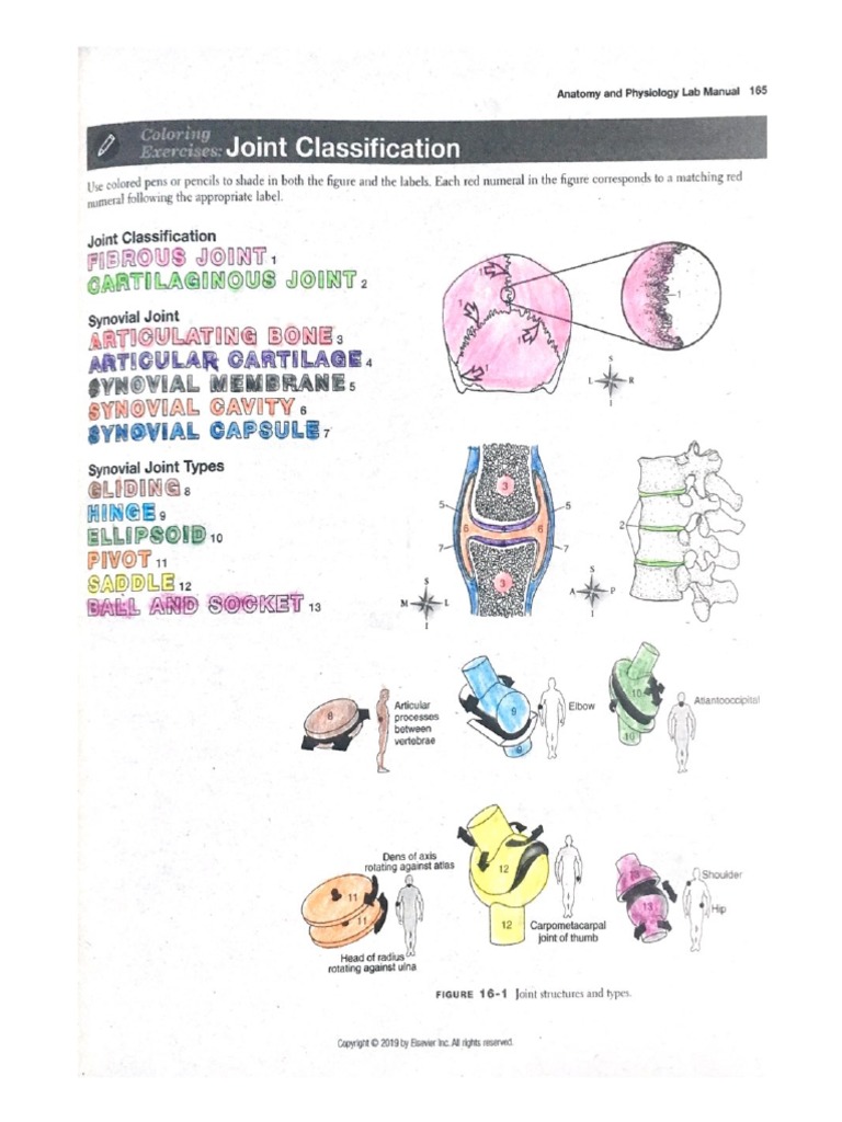 Happ - 100lab - 2MT01 - Lab Exercise 16 - Bernas | PDF
