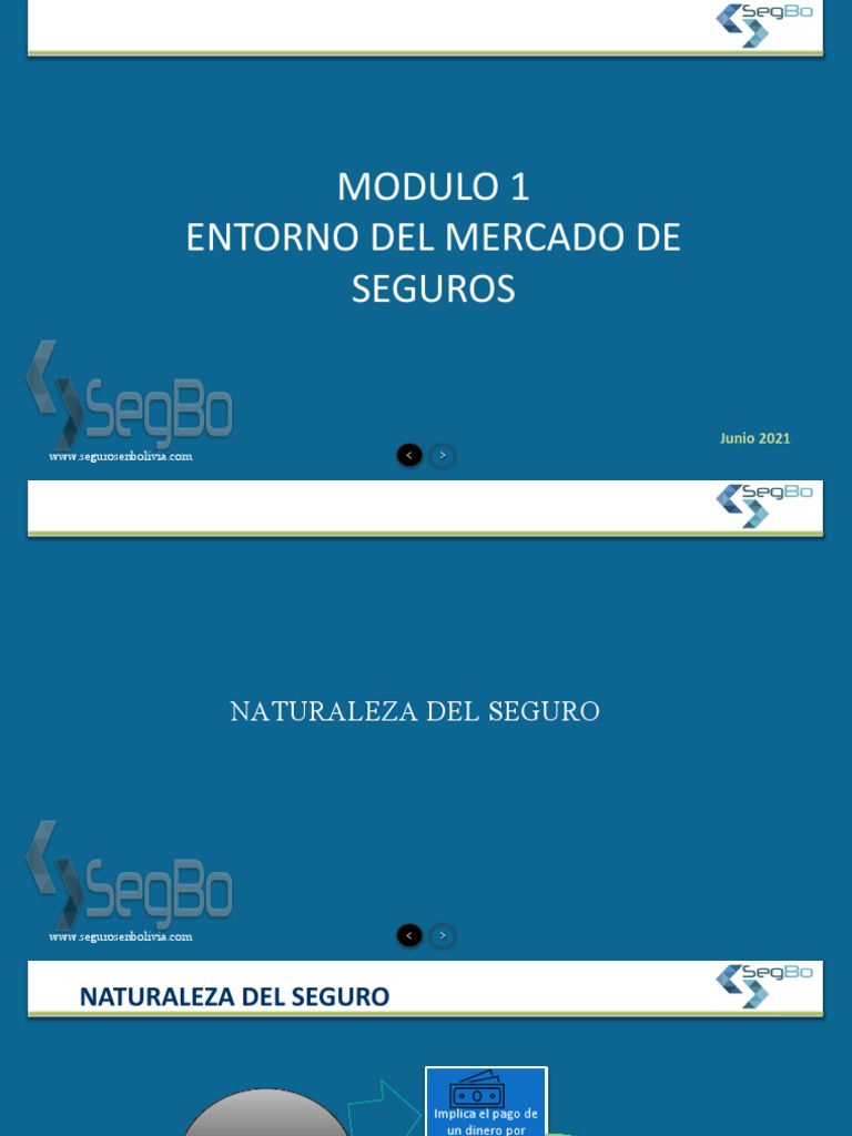 1 Modulo Entorno | PDF | Seguro | Reaseguro