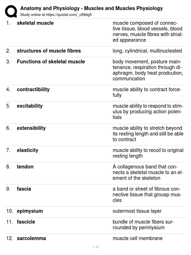 Muscles | Download Free PDF | Muscle Contraction | Anatomical Terms Of ...